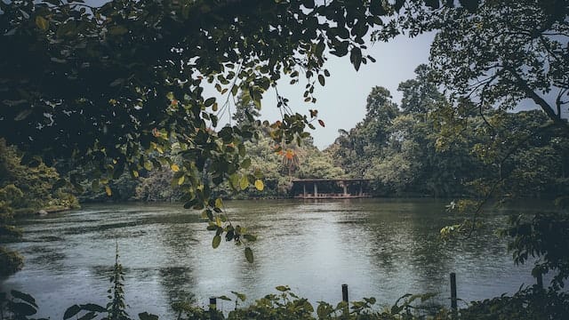 Arlington's Long Bridge Park: Everything You Need To Know | Travel Pediya