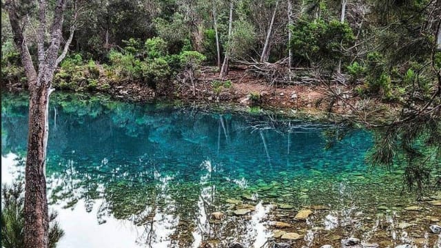 Douglas-Apsley National Park Activities And Attractions | Travel Pediya