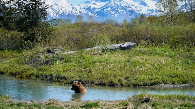 Bear Canyon Lake A Tapestry Of Natural Beauty Surrounding | Travel Pediya